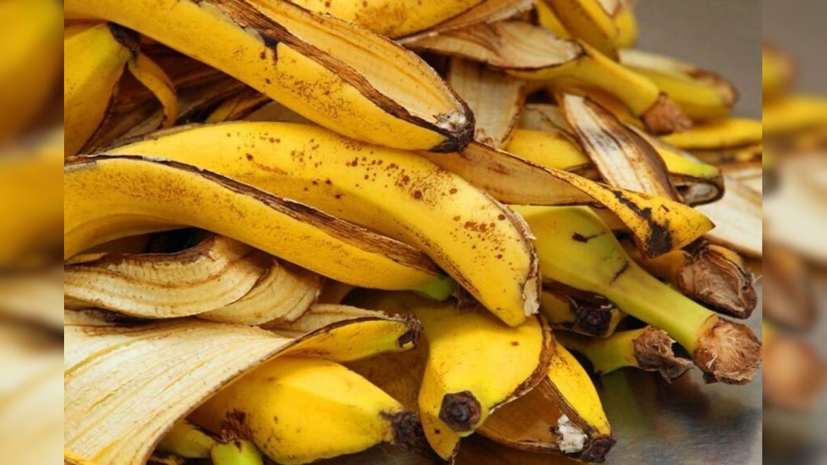 Banana Peel: అరటి తొక్కలను పడేయకండి.. ఇలా వాడితే అదిరే లాభాలు..