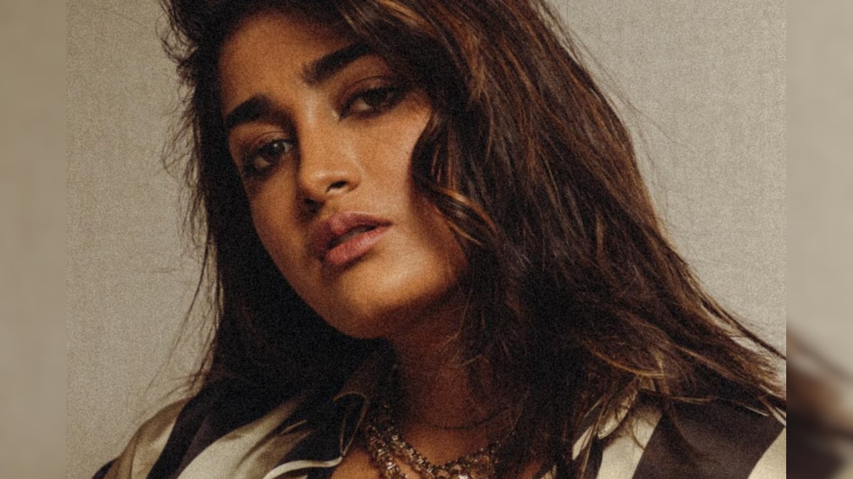 Dimple Hayathi : ఘాటైన అందాలతో మరోసారి అదరగొట్టిన డింపుల్ హయతి.. పిక్స్ ...