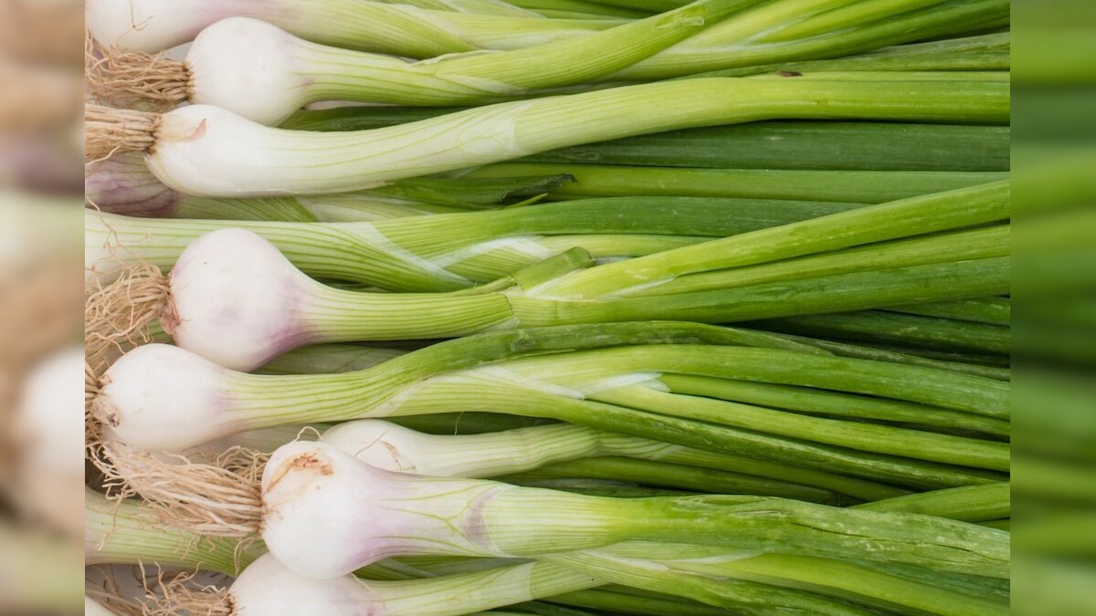Spring Onions: బరువు తగ్గడానికి ట్రై చేస్తున్నారా? అయితే ఈ వెజిటేబుల్ ...