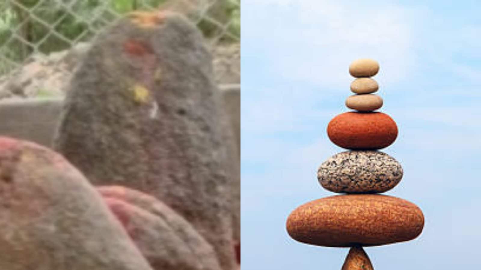 karnataka kaadu basappa temple history importance devotees wishes ...