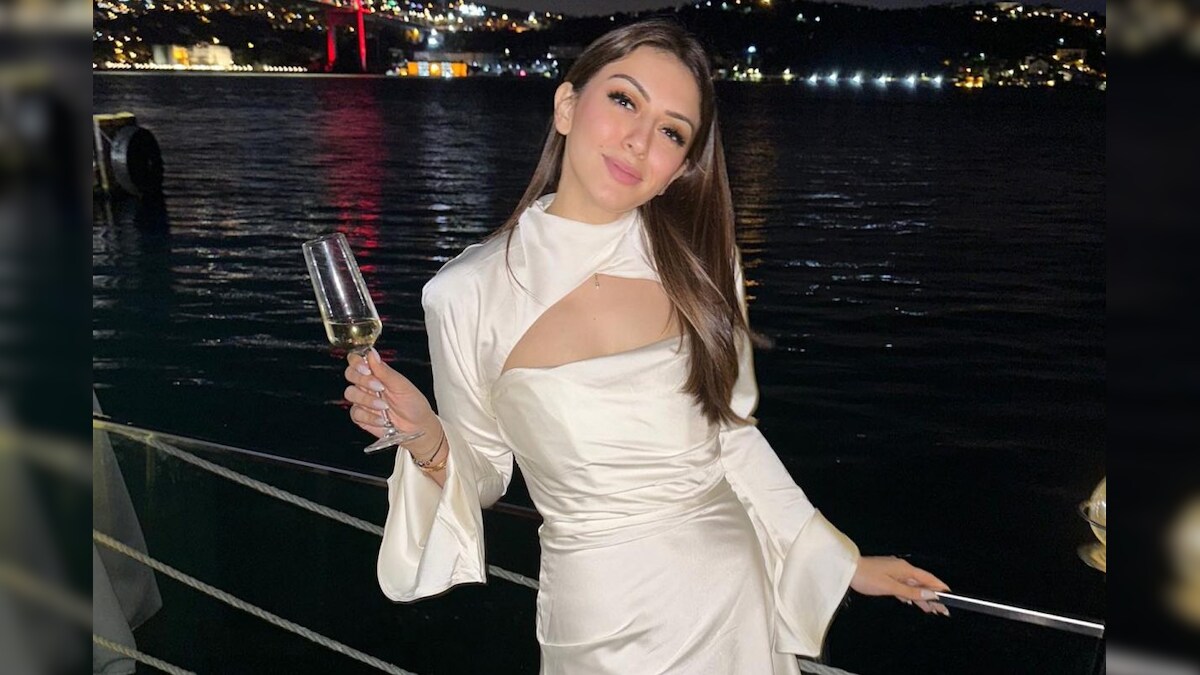 Hansika Motwani : చేతిలో వైన్ గ్లాస్‌తో హన్సిక.. ప్రియమైన వాడితో రొమాన్స్.. పిక్స్ వైరల్ ...