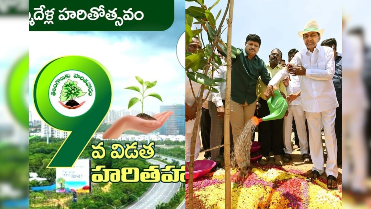 Haritha Haram: నేడు 9వ విడత హరితహారం.. సిద్ధంగా 1.25 కోట్ల మొక్కలు ...