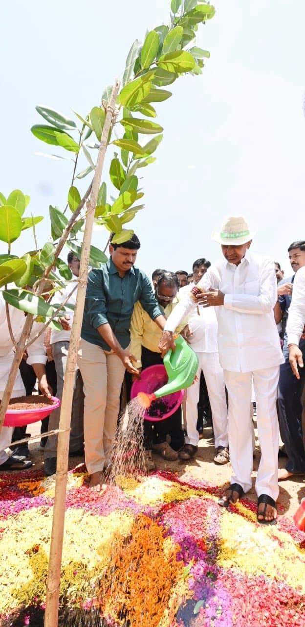 Haritha Haram: నేడు 9వ విడత హరితహారం.. సిద్ధంగా 1.25 కోట్ల మొక్కలు ...