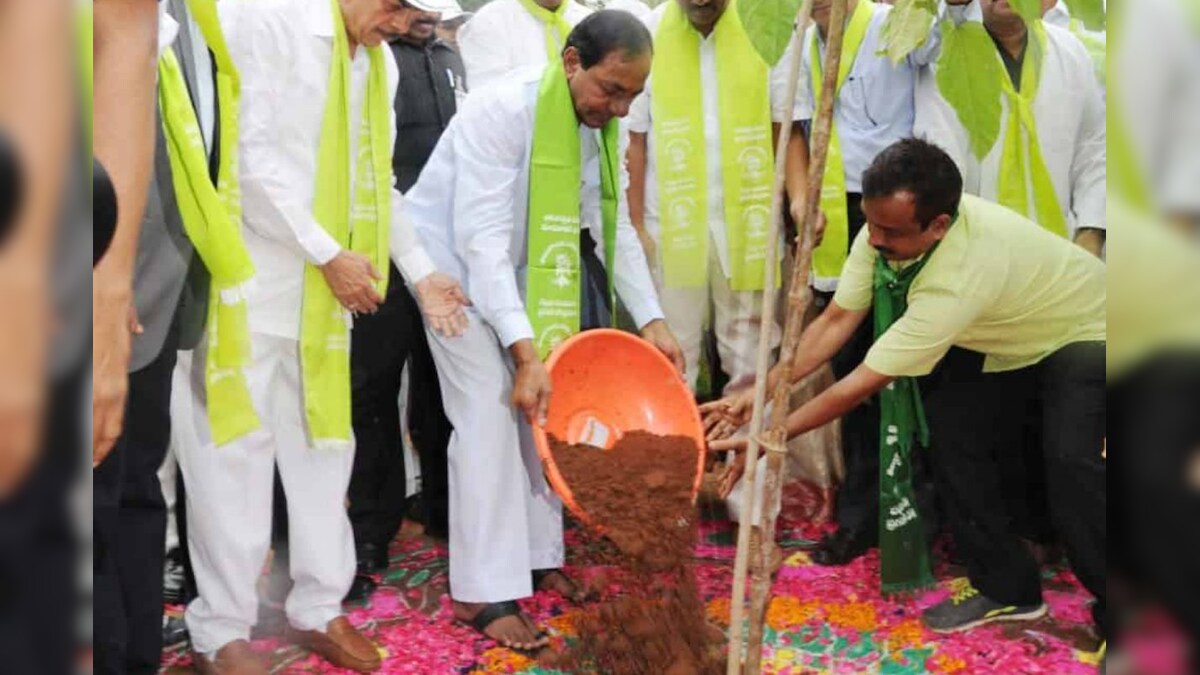 Haritha Haram: 9వ విడత హరితహారం.. పాల్గొన్న సీఎం కేసీఆర్ - News18 తెలుగు