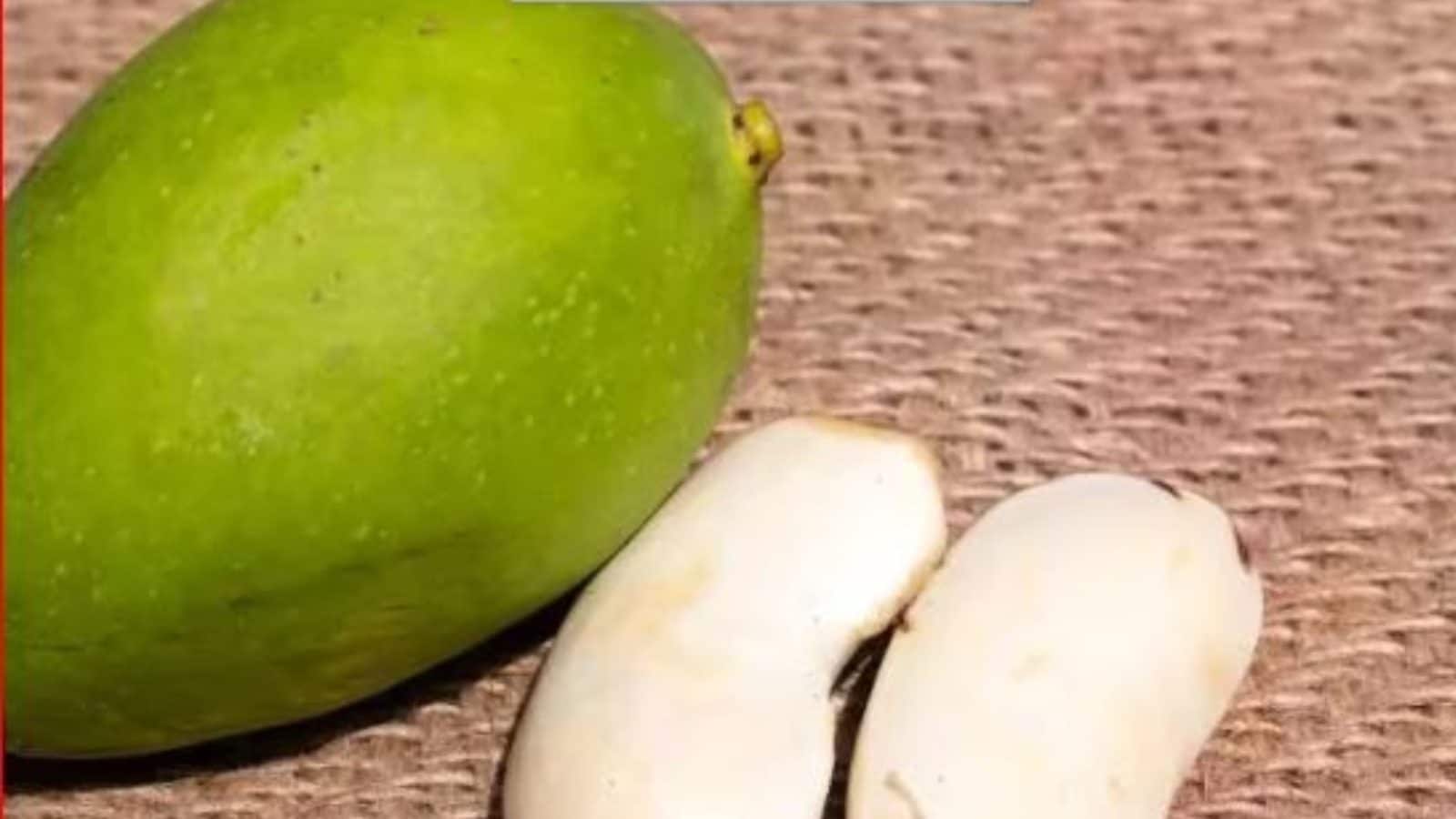 Mango Seed: మామిడిపండు గింజల వల్ల ఎన్నో ఆరోగ్య ప్రయోజనాలు..తెలిస్తే ...