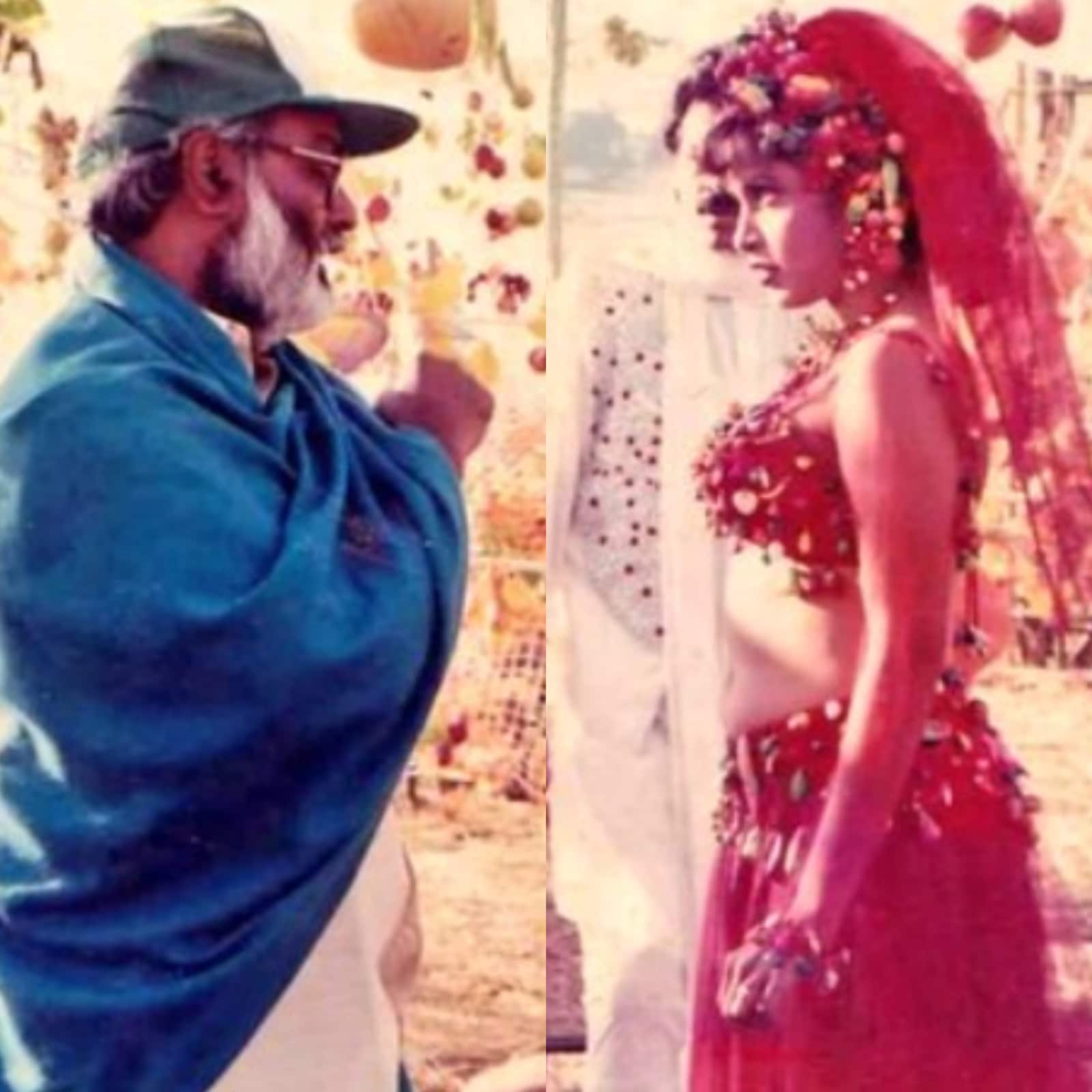 కే రాఘవేంద్రరావు,రమ్యకృష్ణ టాలీవుడ్ బ్లాక్ బస్టర్ కాంబినేషన్.. మొత్తంగా ఎన్ని సినిమాలంటే ...