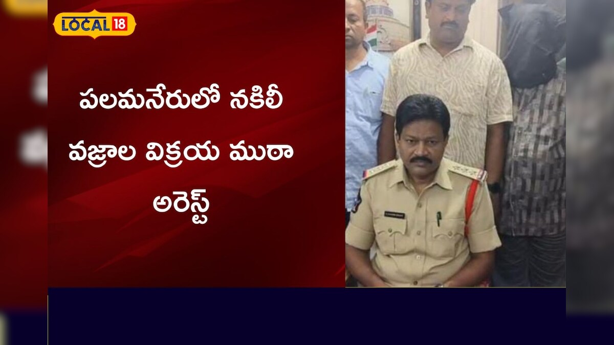 Diamond Gang: తక్కువ ధరకే వజ్రాలు వస్తున్నాయని కొంటున్నారా..? అయితే ఈ ...