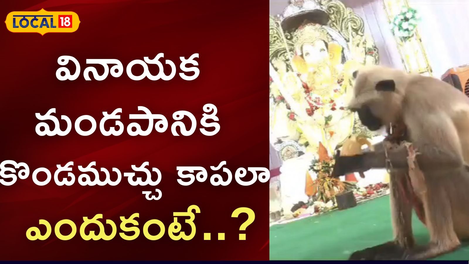 వినాయక మండపానికి కొండముచ్చు కాపలా.. ఎందుకో చూడండి..! | తెలంగాణ వార్తలు ...