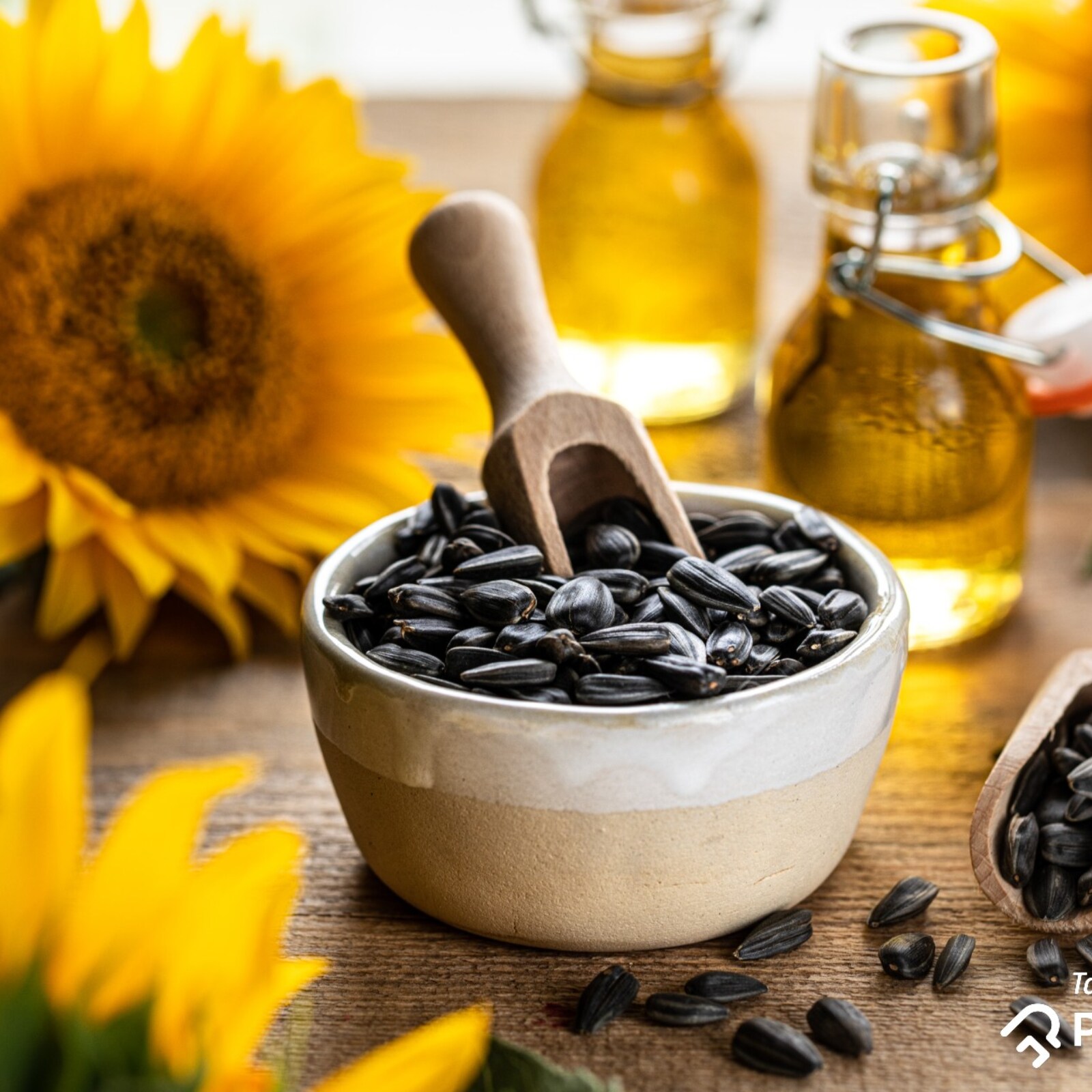 Sunflower Seeds: పొద్దుతిరుగుడు గింజల హెల్త్ బెనిఫిట్స్.. ఆహారంలో ఇలా ...