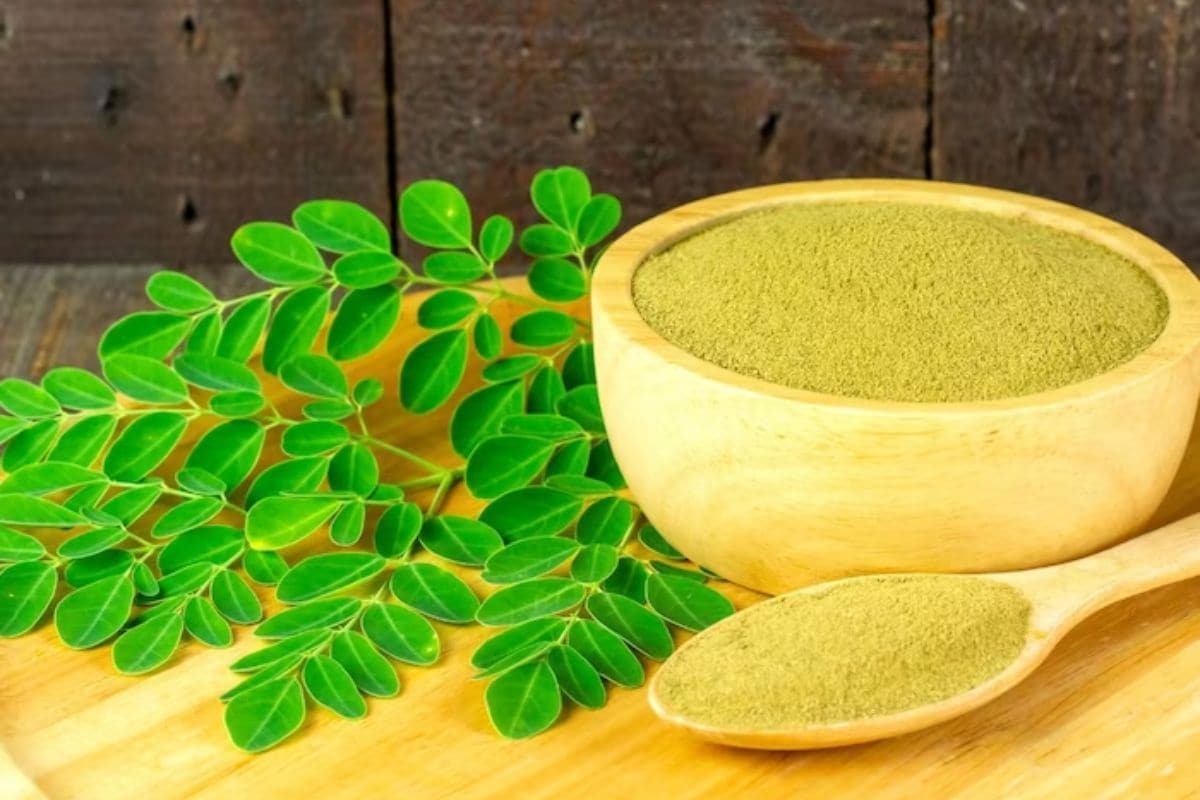 Moringa Powder Benefits: ఈ ఆకు పొడి తింటే.. ఇంట్లో రోగాలు పేరు ఉండదు ...