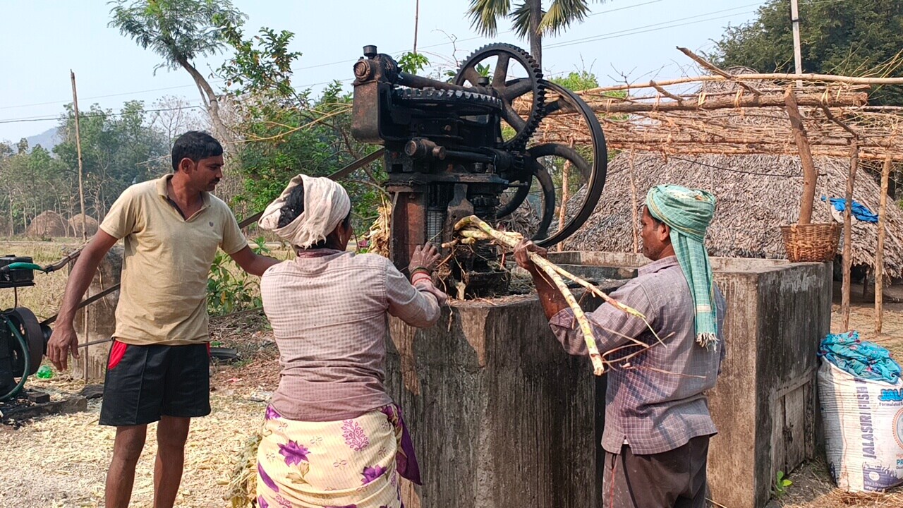 Anakapalli Bellam: అనకాపల్లి బెల్లం... రుచిలో తానే సాటి... ఎలా తయారు ...