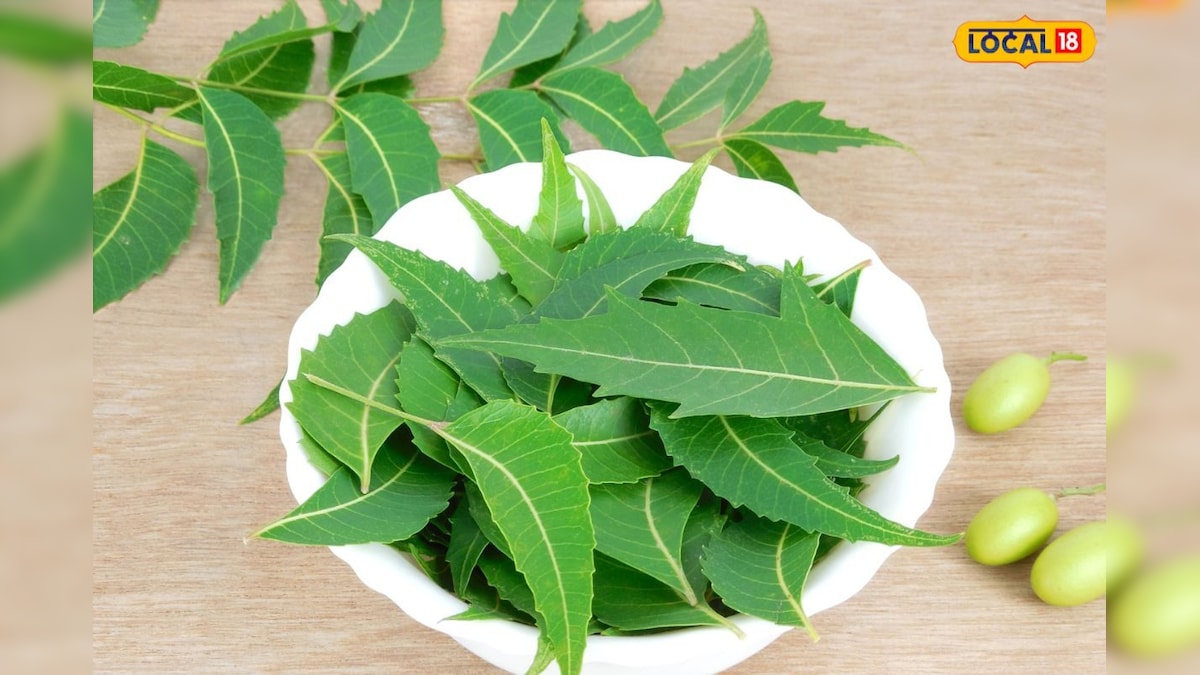 Have you ever eaten neem powder This Hanmakonda Businessman making ...