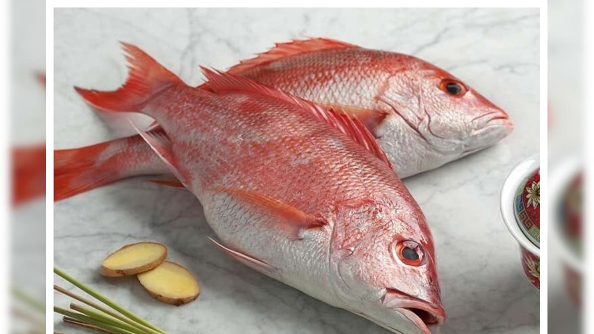 Omega 3 Rich Fish: ఈ చేప కనిపిస్తే వెంటనే కొనుక్కోండి..ఒమేగా 3 అధికంగా ...