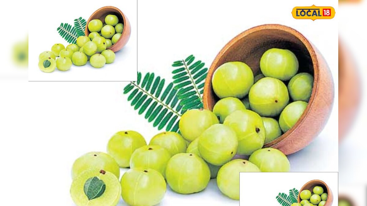 గిరిజన మహిళలకు సిరులు కురిపిస్తున్న సీజనల్ పండ్లు.. seasonal-fruits ...