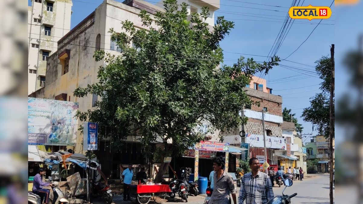 ఒంగోలులో ఏనుగు చెట్టు కూడలి... 400 ఏళ్ల చరిత్ర ఇదే | Enugu Chettu ...