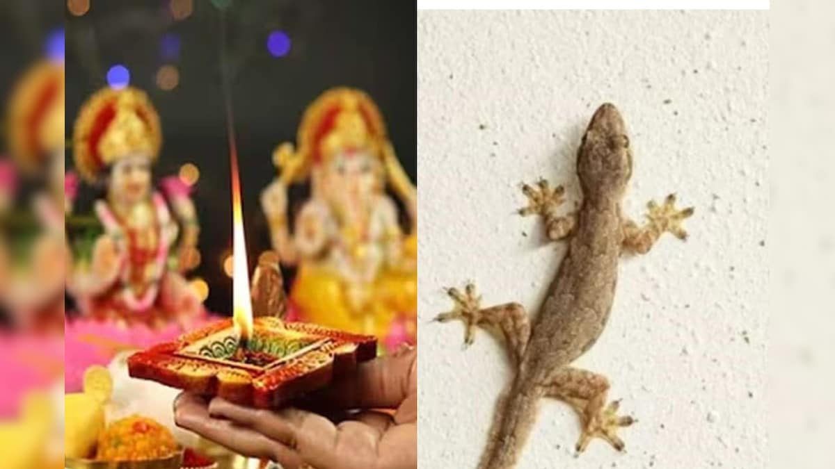 Vastu Tips : దీపావళి రోజు బల్లిని చూస్తే లాటరీ తగిలినట్లే.. అయితే ...