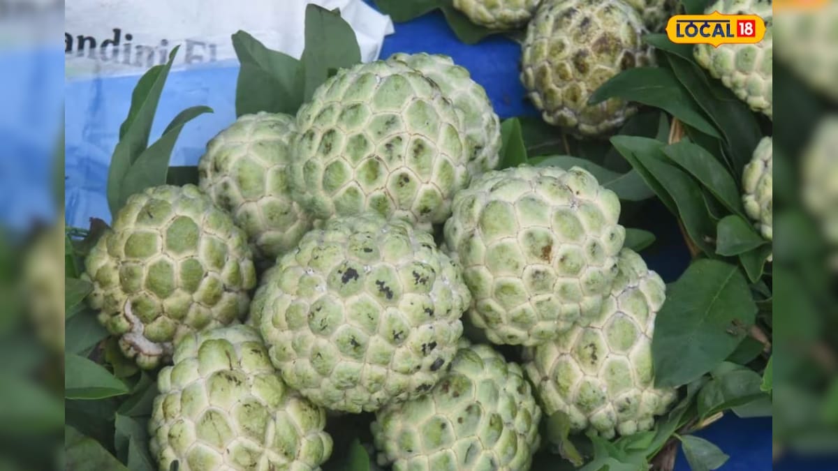 ఆ ఊరి సీతాఫలాలకు భలే డిమాండ్... అటువైపు వెళ్లినప్పుడు మీరూ కొనేయండి ...