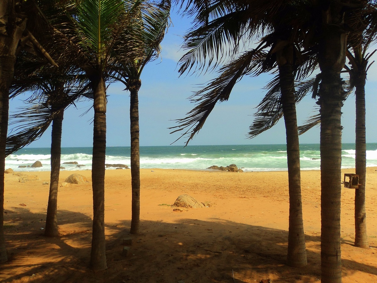 Visakhapatnam: అమ్మో సముద్ర కట్లపాము... ఇది కాటేస్తే వెరీ డేంజర్ ...