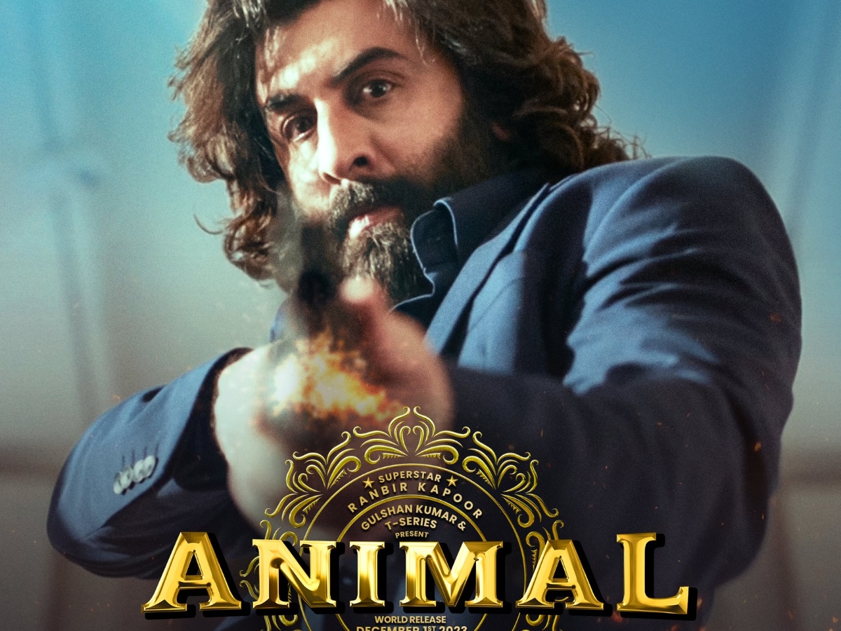 Animal collections: 10వ రోజు కూడా బాక్సాఫీస్ దగ్గర యానిమల్ ఊచకోత ...