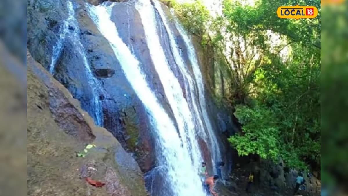 Tour: బెస్ట్ పిక్నిక్ స్పాట్.. ఈ వాటర్ ఫాల్స్ చూస్తే మతిపోవాల్సిందే ...