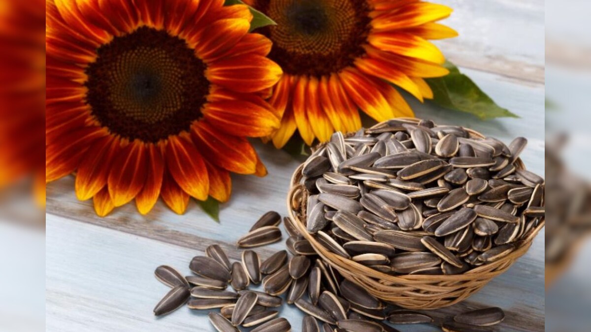 Sunflower Seeds: పొద్దుతిరుగుడు గింజల హెల్త్ బెనిఫిట్స్.. ఆహారంలో ఇలా ...