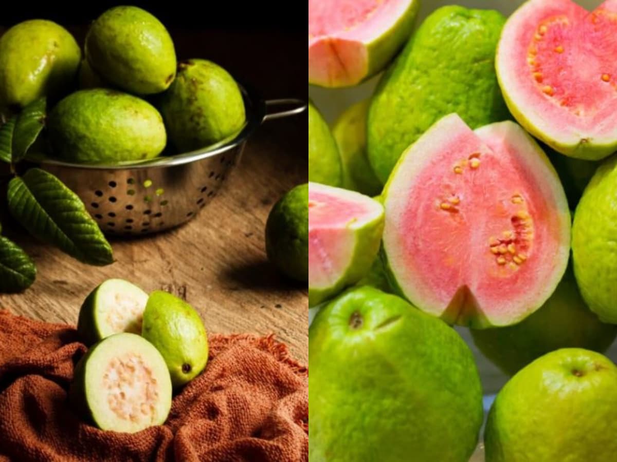 Guava: తెలుపు, గులాబీ రంగు జామలో ఏది ఆరోగ్యానికి మంచిది..? రెండింటి ...