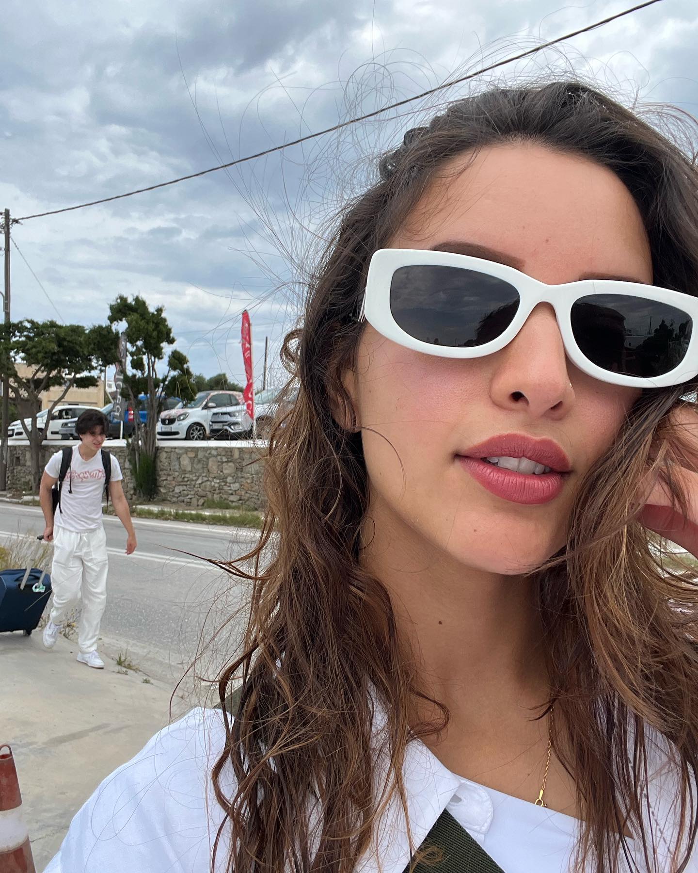 Triptii Dimri : తెలుగు సీనియర్ హీరో సరసన హీరోయిన్‌గా ఛాన్స్ కొట్టేసిన ...