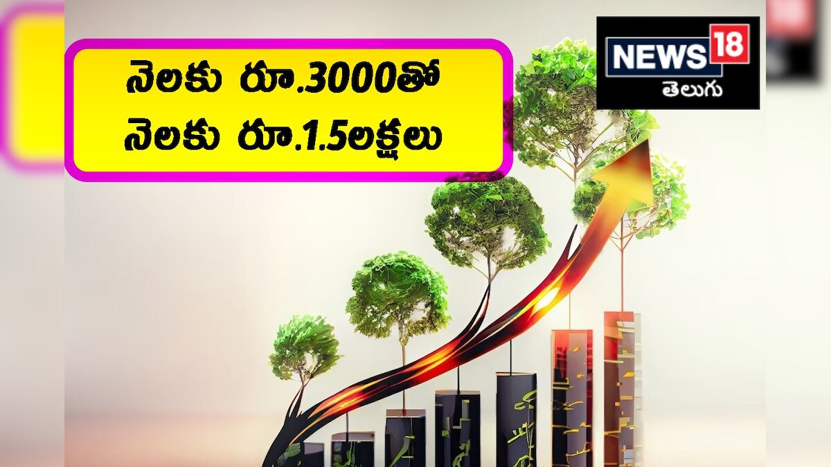 SIP: నెలకు రూ.3000 పెట్టుబడి పెట్టండి, రిటైర్మెంట్ తర్వాత నెలకు 1.5 ...