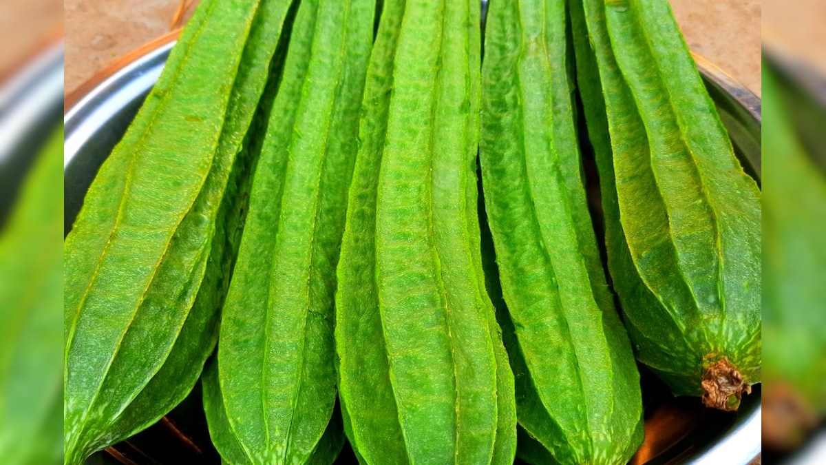 Ridge Gourd: మీరు బీరకాయ తింటున్నారా? అయితే ఈ విషయాలు తప్పక తెలుసుకోండి ...