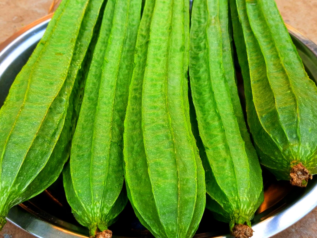 Sponge Gourd: బీరకాయతో ఆరోగ్యం. ఈ నిజాలు తెలిస్తే, తప్పక తింటారు ...