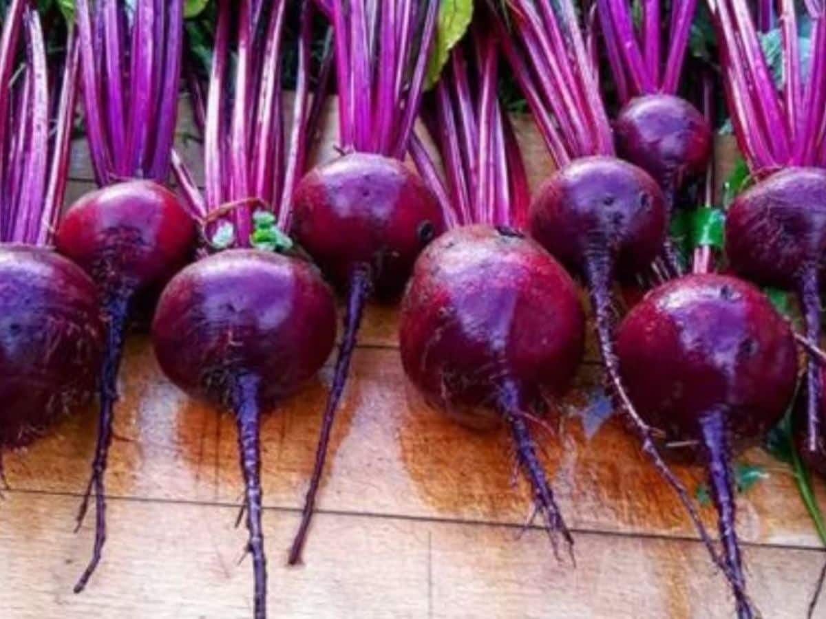Beetroot: 100కి 100 శాతం వీళ్లు బీట్‌రూట్ తినకూడదు.. విషంతో సమానం ...