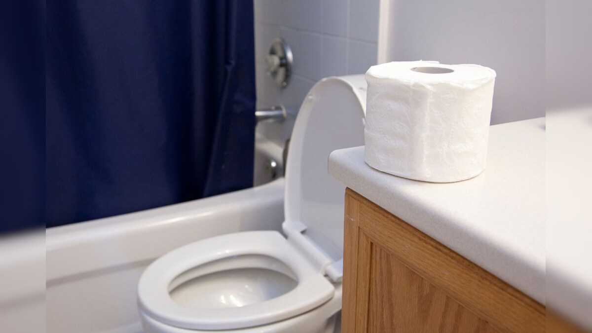 Flushing Mistake: టాయిలెట్ ఫ్లష్ చేసేటప్పుడు ఈ తప్పు అస్సలు చేయకండి ...