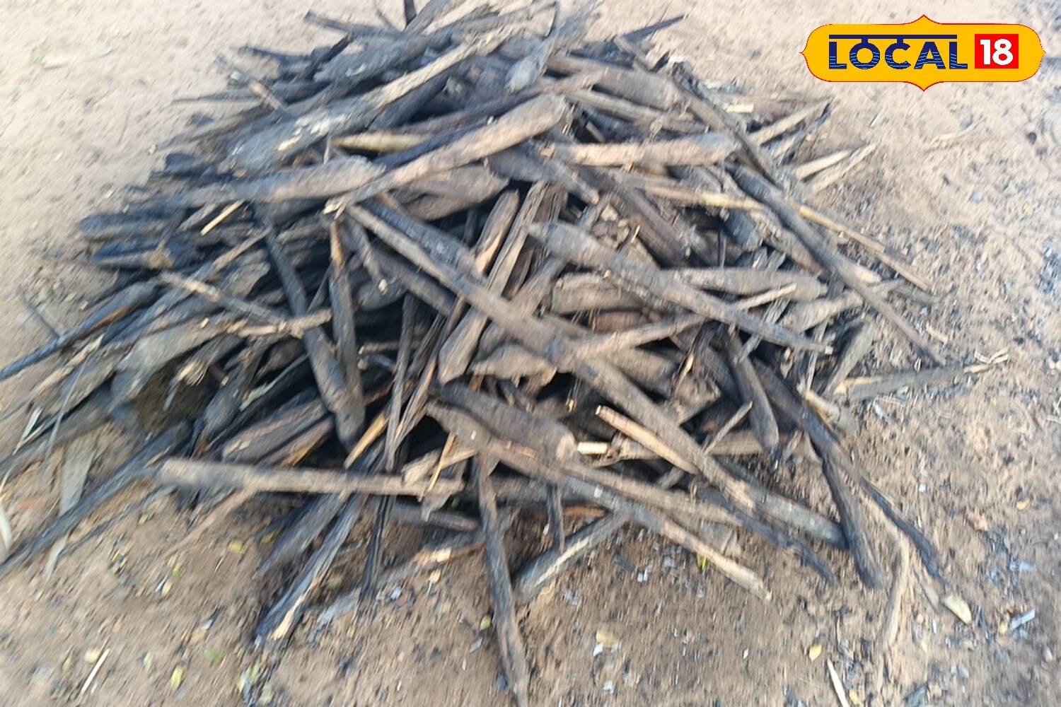 వీటిని తినాలంటే పెట్టి పుట్టాల్సిందే.. మీరెప్పుడైనా రుచి చూశారా.. beach ...