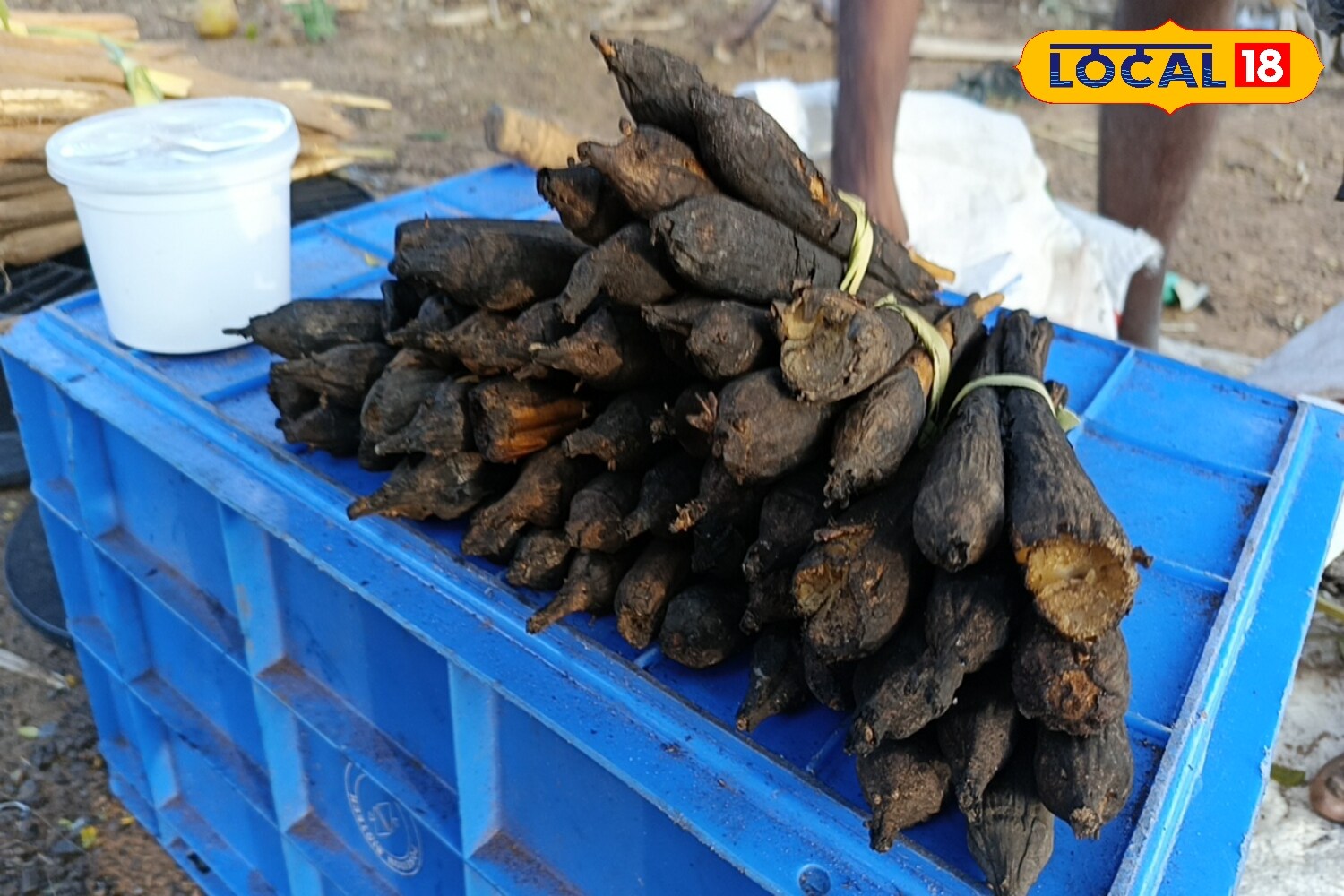 వీటిని తినాలంటే పెట్టి పుట్టాల్సిందే.. మీరెప్పుడైనా రుచి చూశారా.. beach ...