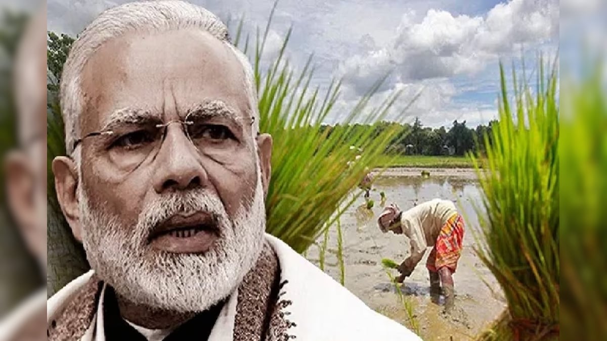 Interim Budget 2024 RBI MPC member Ashima Goyal suggests government can ...