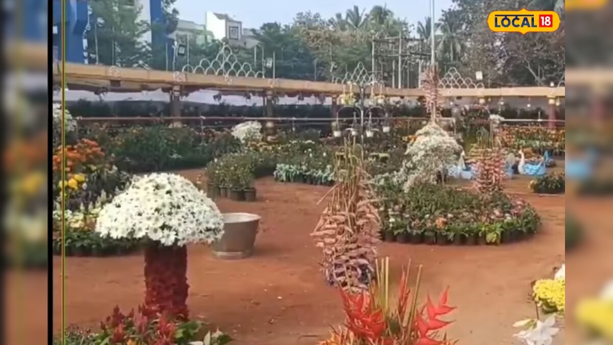 Yanam Flower Show: యానం పువ్వుల ప్రదర్శన... ఆకట్టుకుంటున్న రకరకాల ...