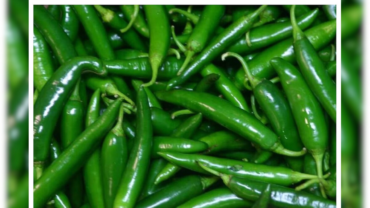Chilli Rate: మండిపోతున్న పచ్చి మిర్చి.. కిలో ధర ఎంతో తెలుసా.. ?|from ...