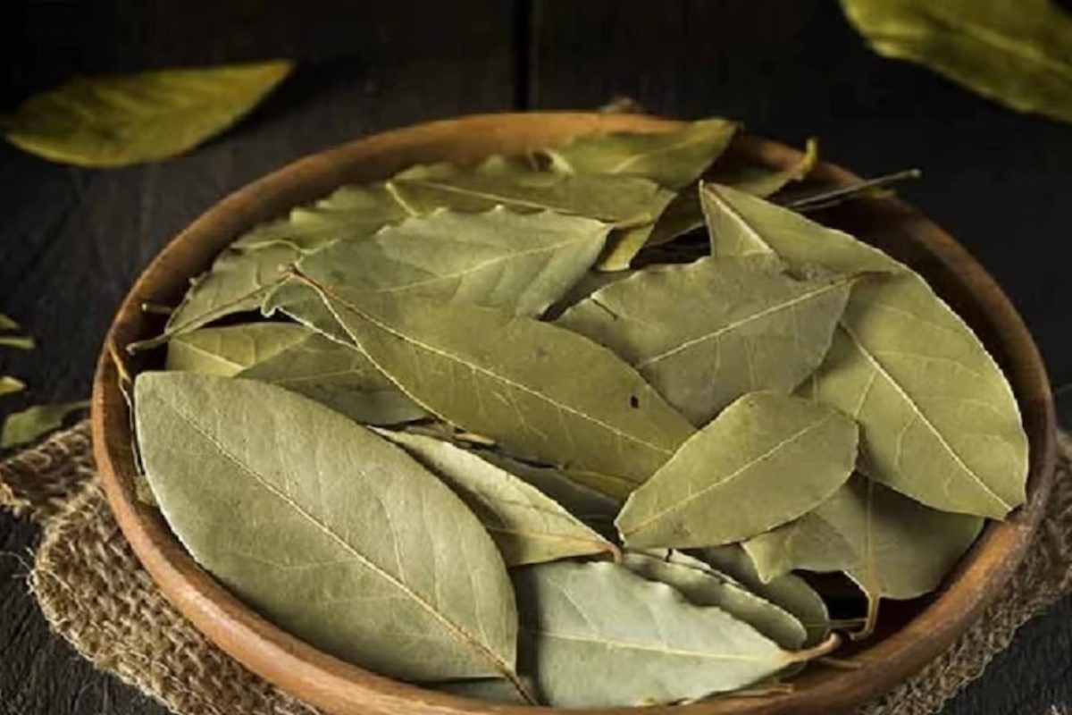 Tej Pata Water Benefits: ప్రతీ రోజు ఉదయం ఈ ఆకుల నీరు తాగితే.. షుగర్ ...
