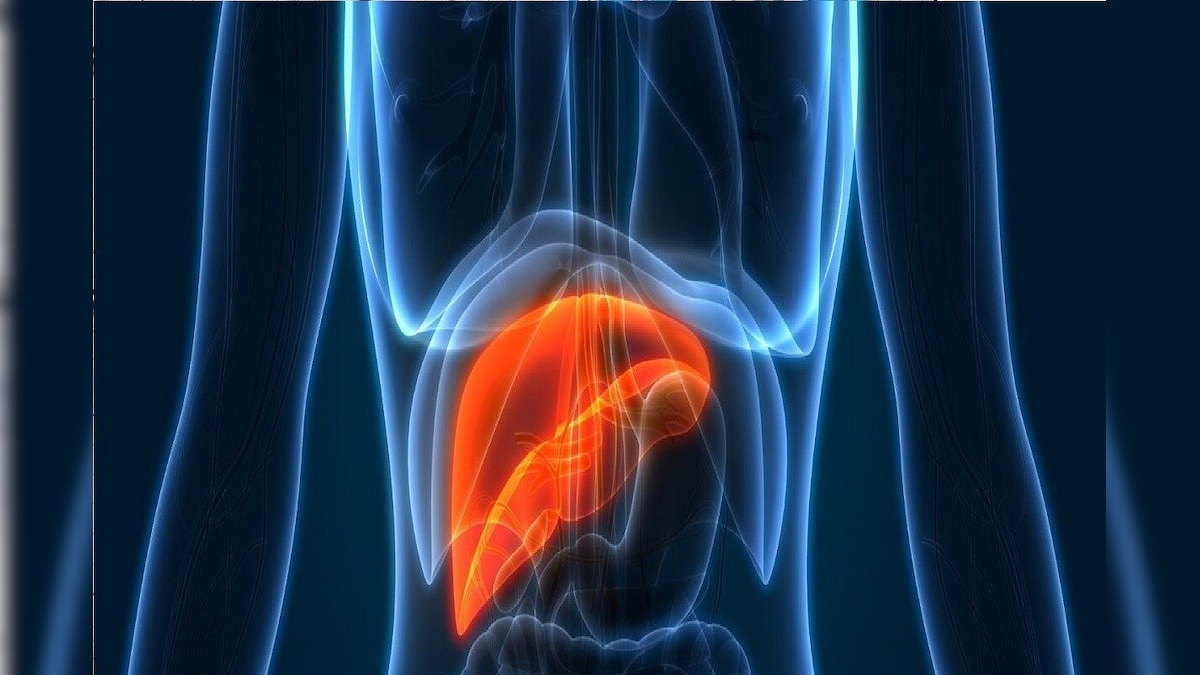 Health Tips: మీ శరీరంలో ఈ 5 లక్షణాలు ఉంటే.. మీ లివర్ పాడైపోతుందని అర్థం ...