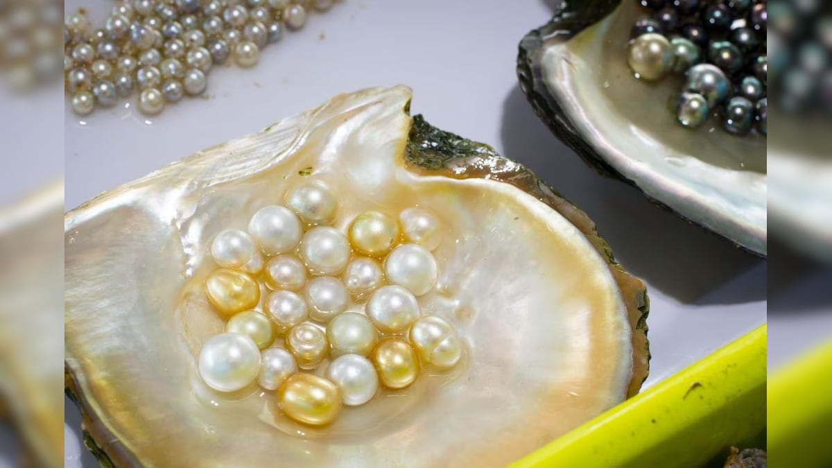 Pearls: సముద్రగర్భంలో ముత్యాలు ఎలా ఏర్పడతాయి ? తెలిస్తే ఆశ్చర్యపోతారు ...