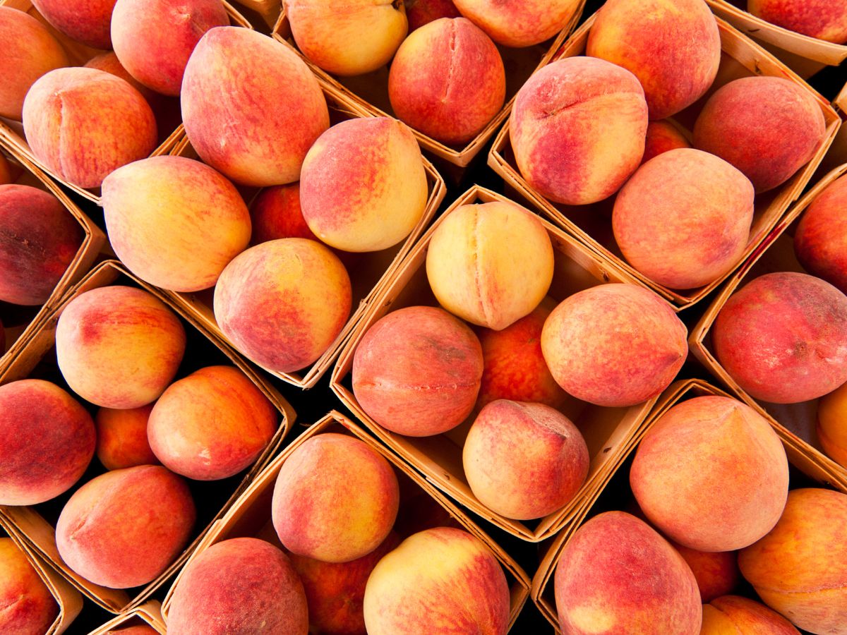 Peach benefits for Constipation - Peach Fruit: ఈ పండు తింటే 30 ...