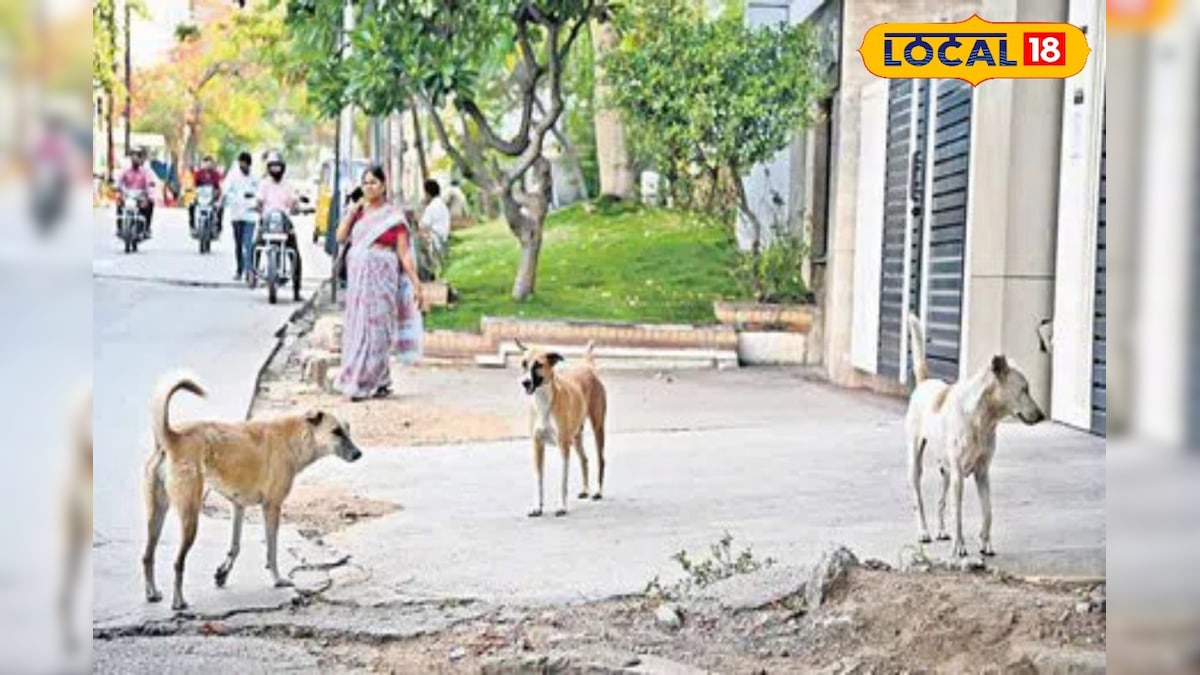 నలుగురు వ్యక్తులు.. ఒక కుక్క.. ఓ ఆసుపత్రి.. విషయం ఏంటంటే..Four are ...
