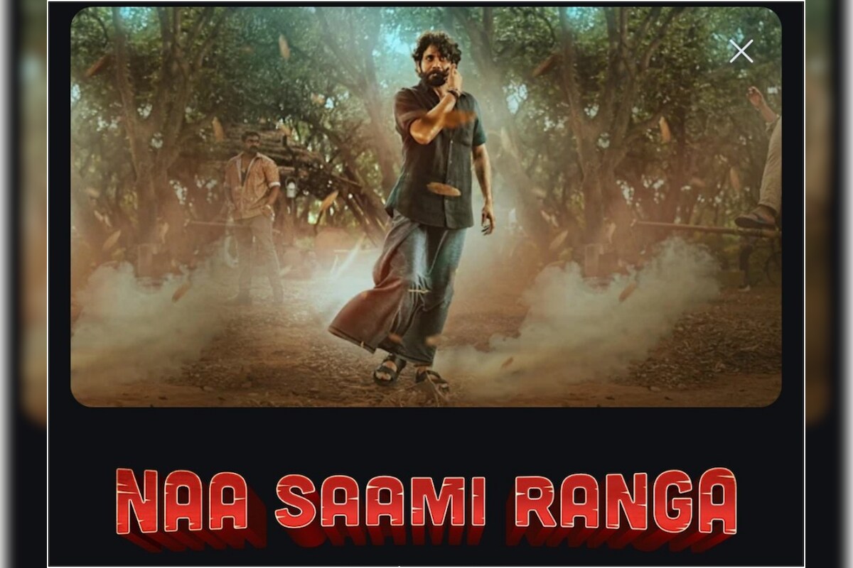 Naa Saami Ranga OTT : ఓటీటీలో నా సామిరంగ.. రేపటి నుంచే స్ట్రీమింగ్ ...