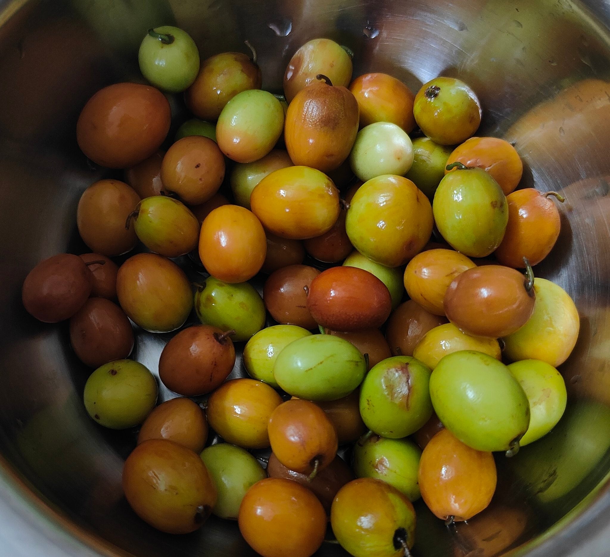 ఈ పండు ఉండేది నెల మాత్రమే.. తిన్నారంటే గాలిపోయిన బెలూన్‌లా బరువు ...