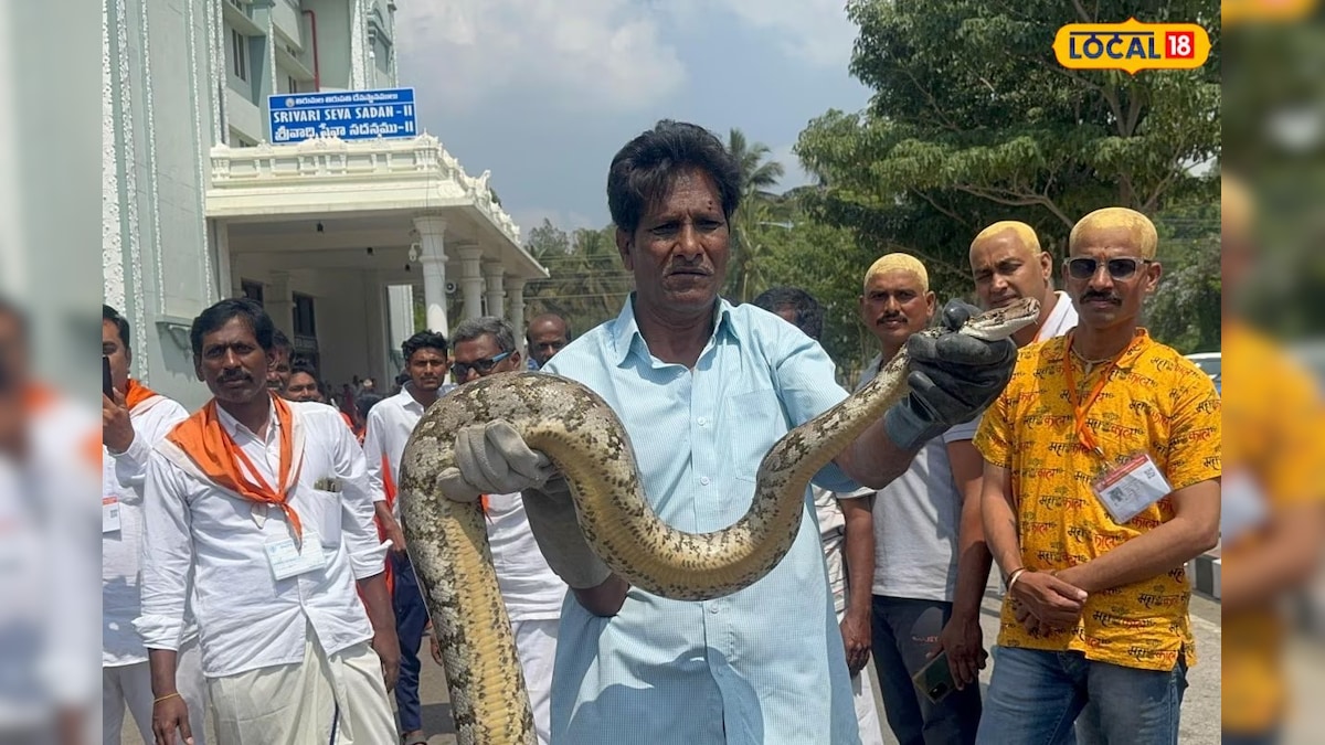 Tirumala: తిరుమలలో 12 అడుగుల కొండ‌చిలువ... పరుగులు తీసిన భక్తులు | Twelve foot python scared ...