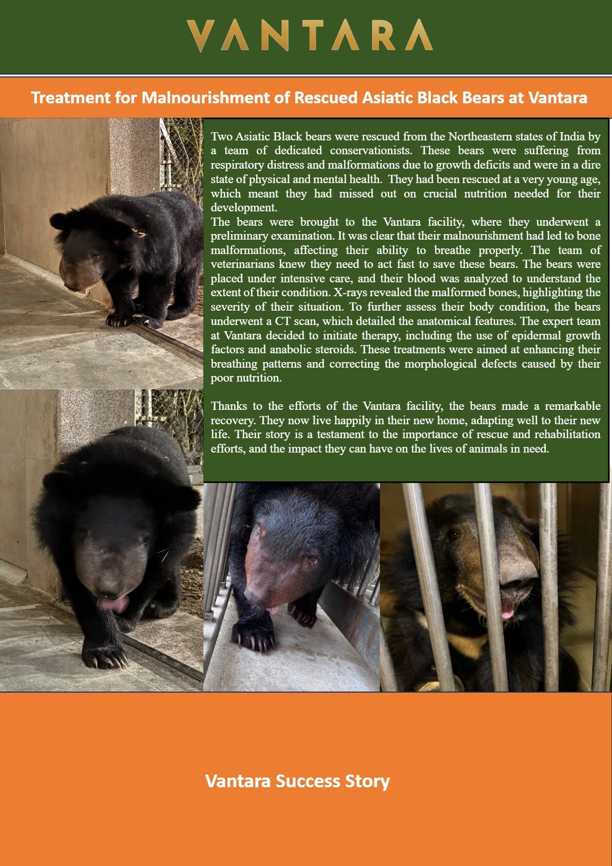 Vantara: వన్యప్రాణులకు పూర్తి సంరక్షణ.. రిలయన్స్ ఇండస్ట్రీస్ ద్వారా ...