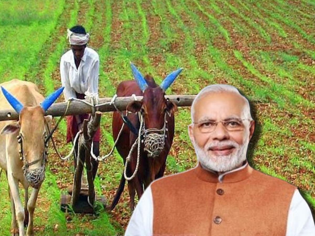 రైతులకు వరం ఈ కేంద్ర పథకం. వెంటనే దరఖాస్తు చేసుకోండి. ఇదీ పూర్తి ...