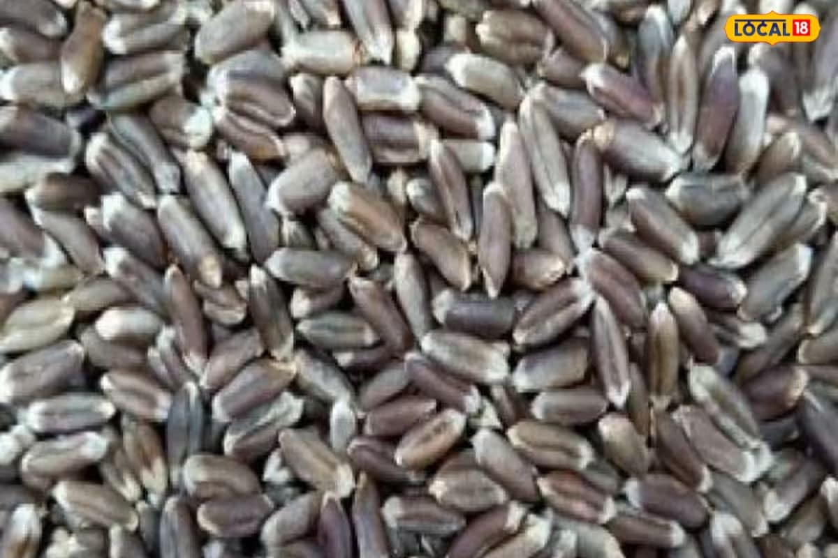 నల్లగోదుమలతో రొట్టెలు చేసుకొని తింటే .. ఆ విషయంలో మీకు ఢోకా ఉండదంతే ...