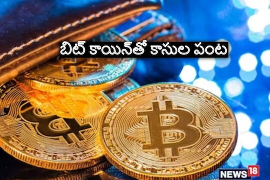 బిట్‌ కాయిన్ సరికొత్త రికార్డు.. పండగ చేసుకుంటున్న క్రిప్టో ...