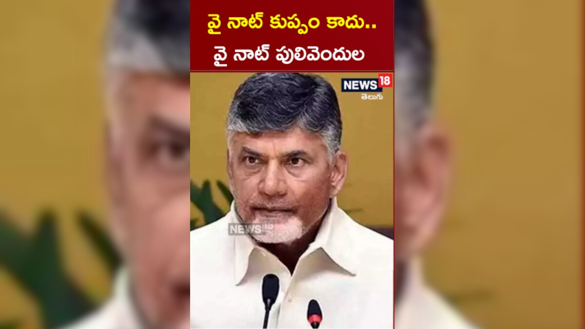 Chandrababu Naidu about ys jagan
